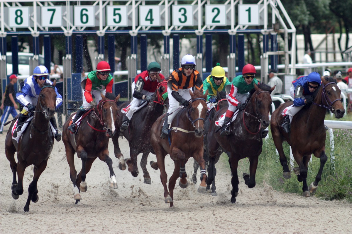 Win BIG! Play the ponies at Australia’s Melbourne Cup with Charlie Chan ...